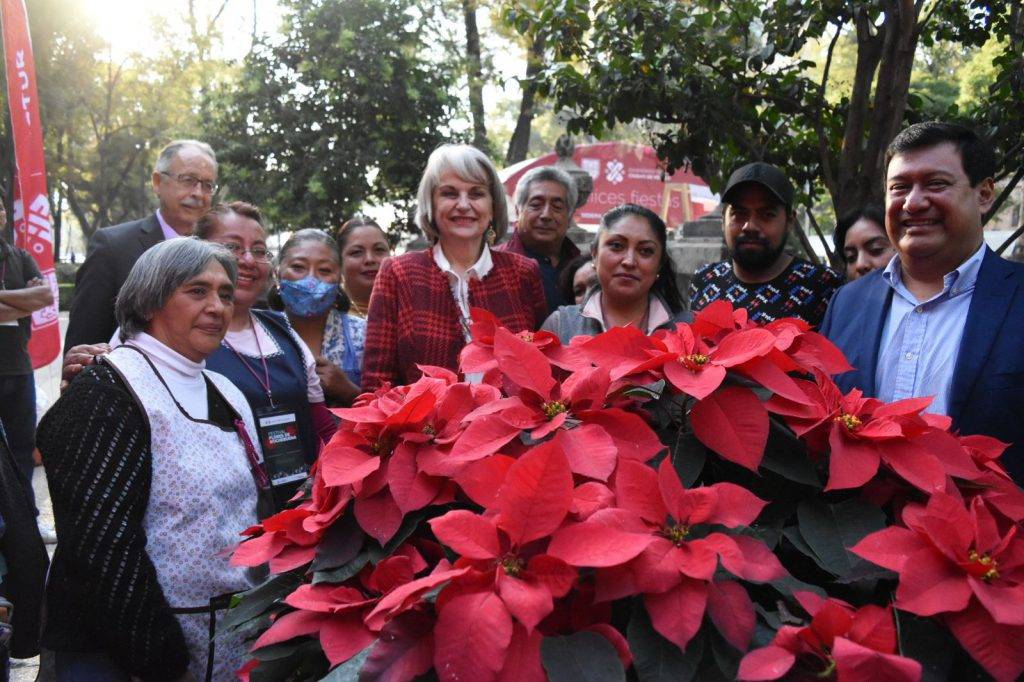 “festival De Flores De Nochebuena 2022” En La Cdmx Noticias Capital 21