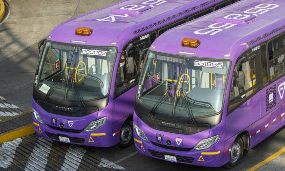 Autobuses Morados De Cdmx Usarán La Tarjeta De Movilidad Integrada Noticias Capital 21